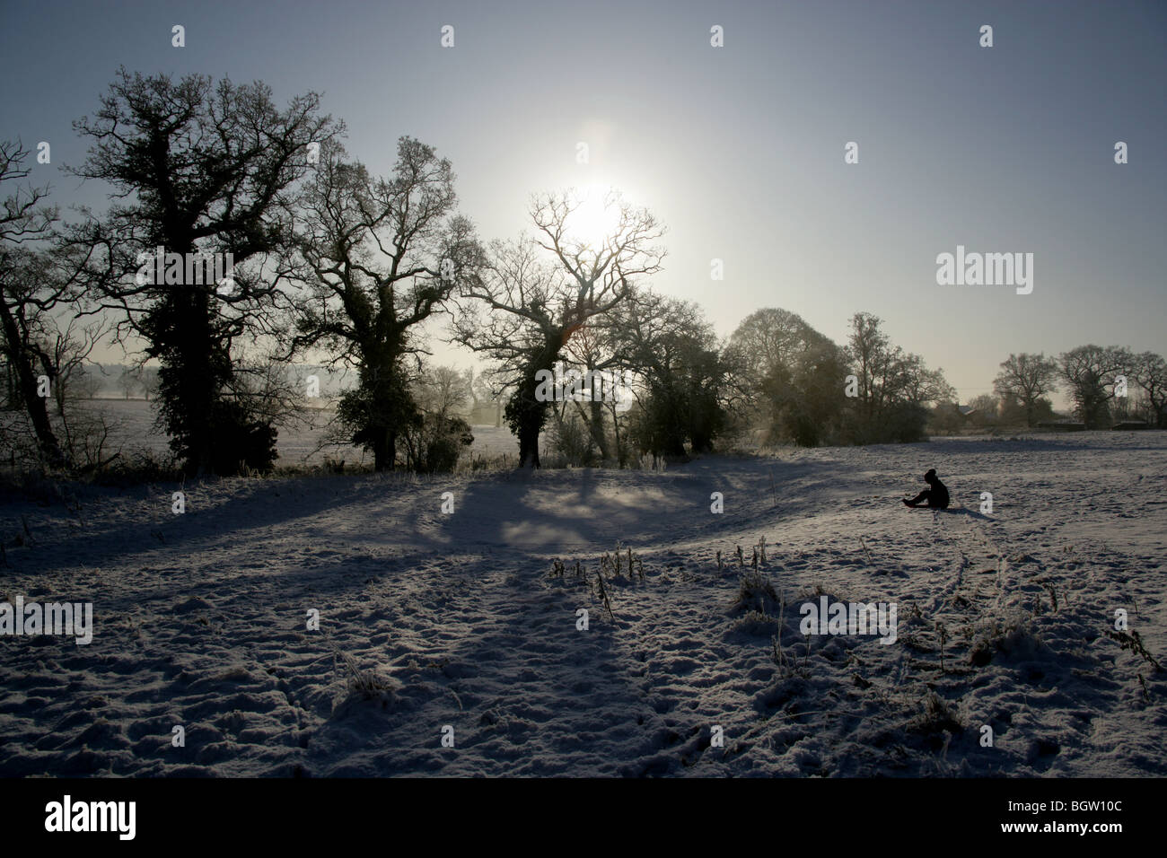 Picturesque silhouetted winter scene of a snowy Cheshire field with a ...