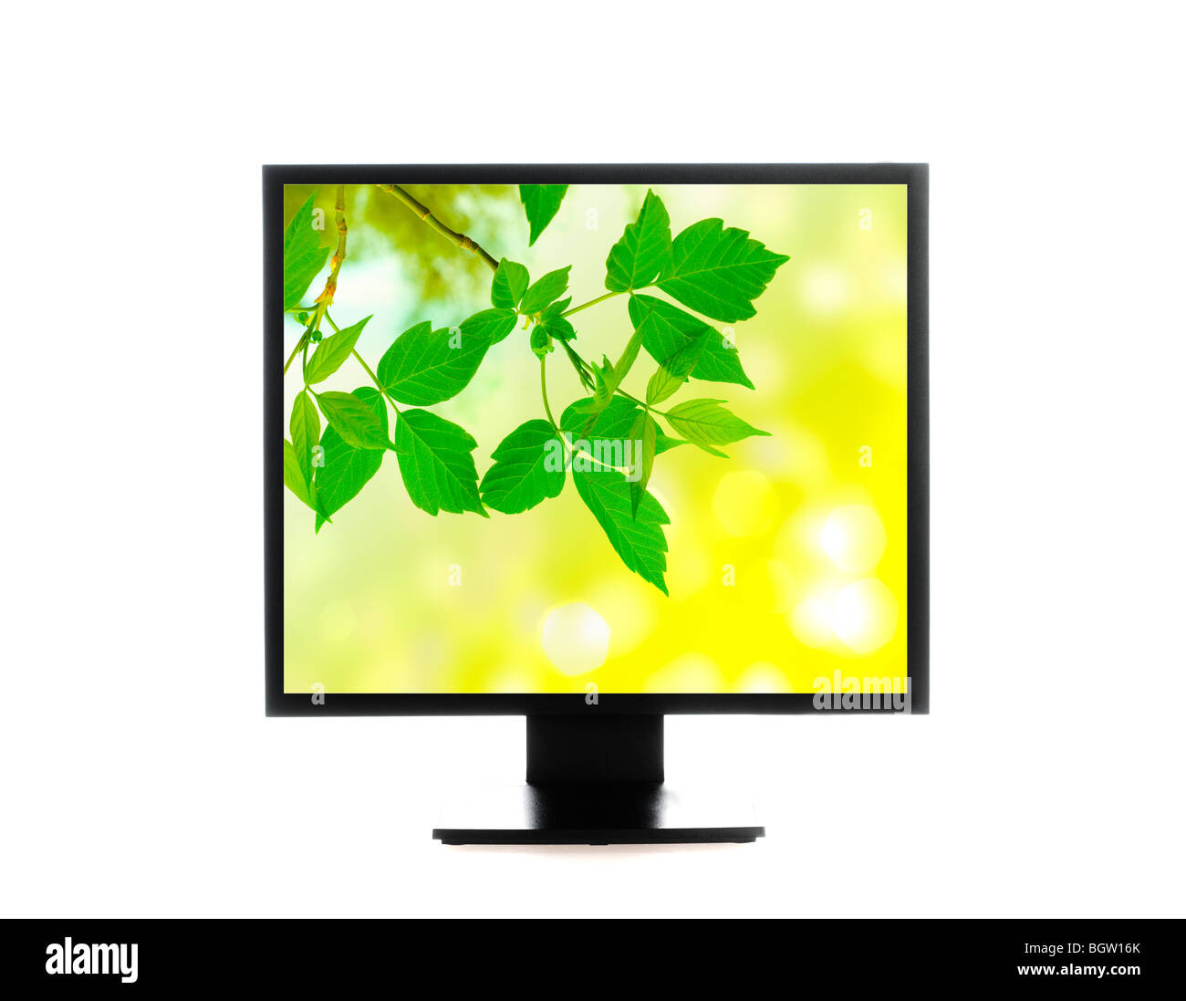 computer monitor. Isolated over white background Stock Photo - Alamy
