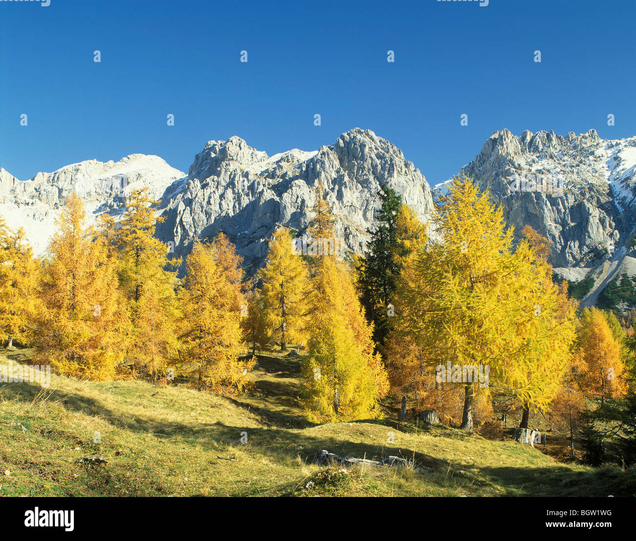 Filzmoos am dachstein hi-res stock photography and images - Alamy
