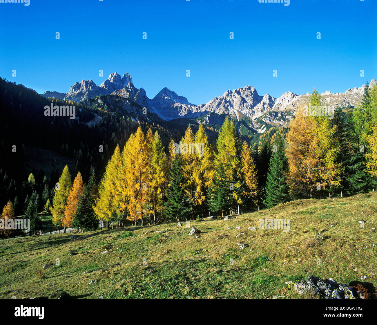 Filzmoos am dachstein hi-res stock photography and images - Alamy