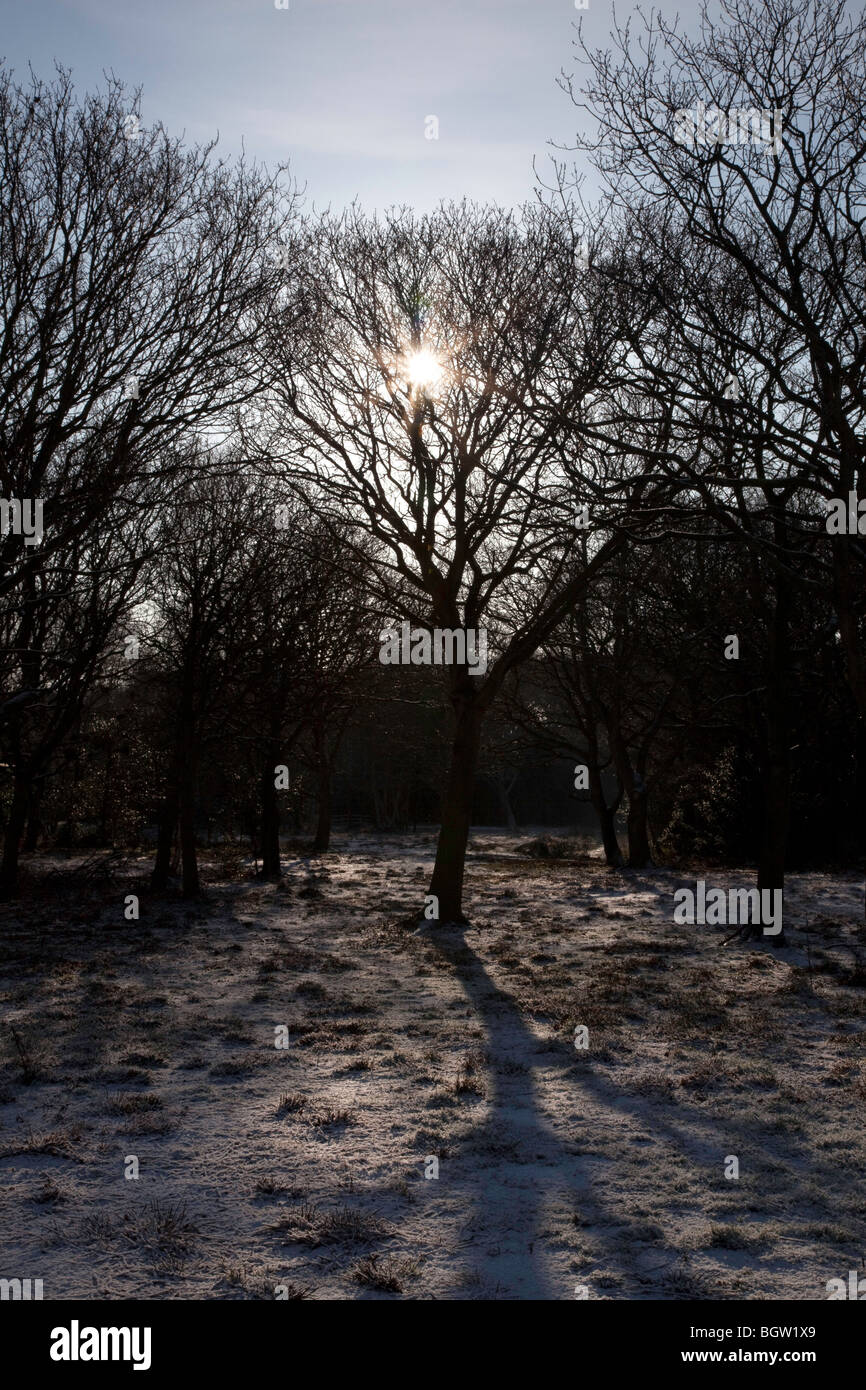 Setting sun shaft light hi-res stock photography and images - Alamy