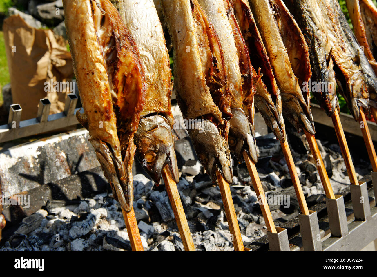 Fish on a stick Stock Photo - Alamy