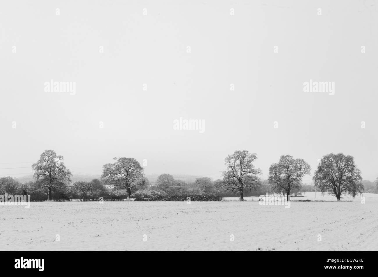 Winter landscape after snowfall, Mortimer, Berkshire Stock Photo - Alamy