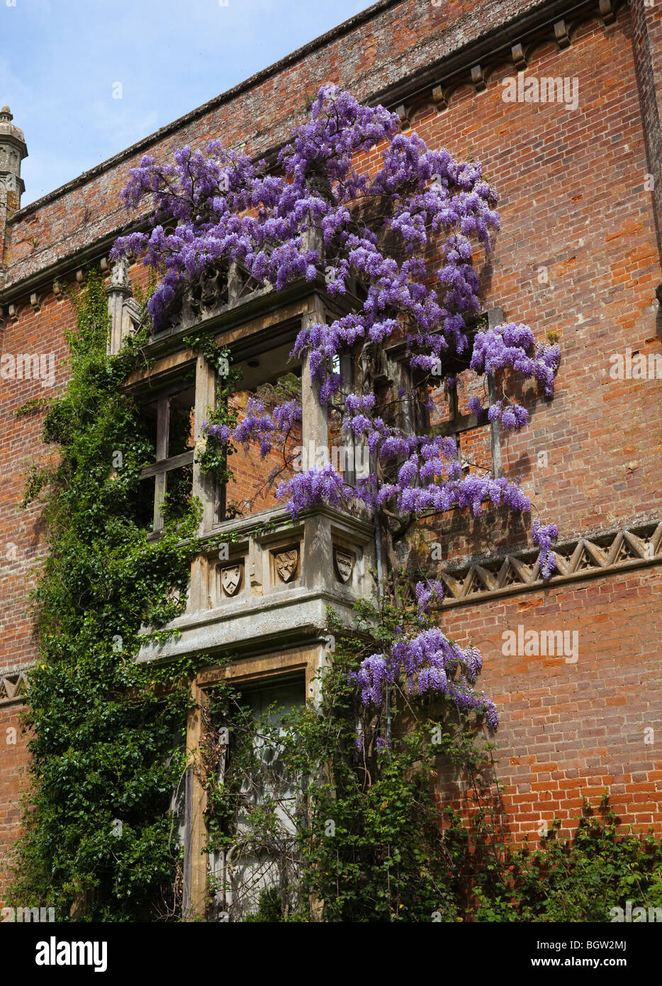 Wisteria climbing on building hi-res stock photography and images - Alamy