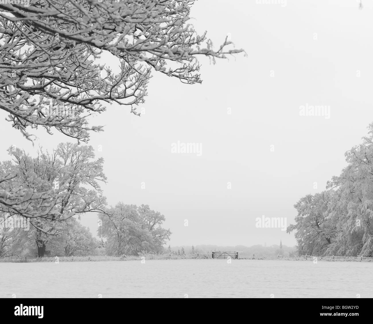 Winter landscape after snowfall, Mortimer, Berkshire Stock Photo - Alamy