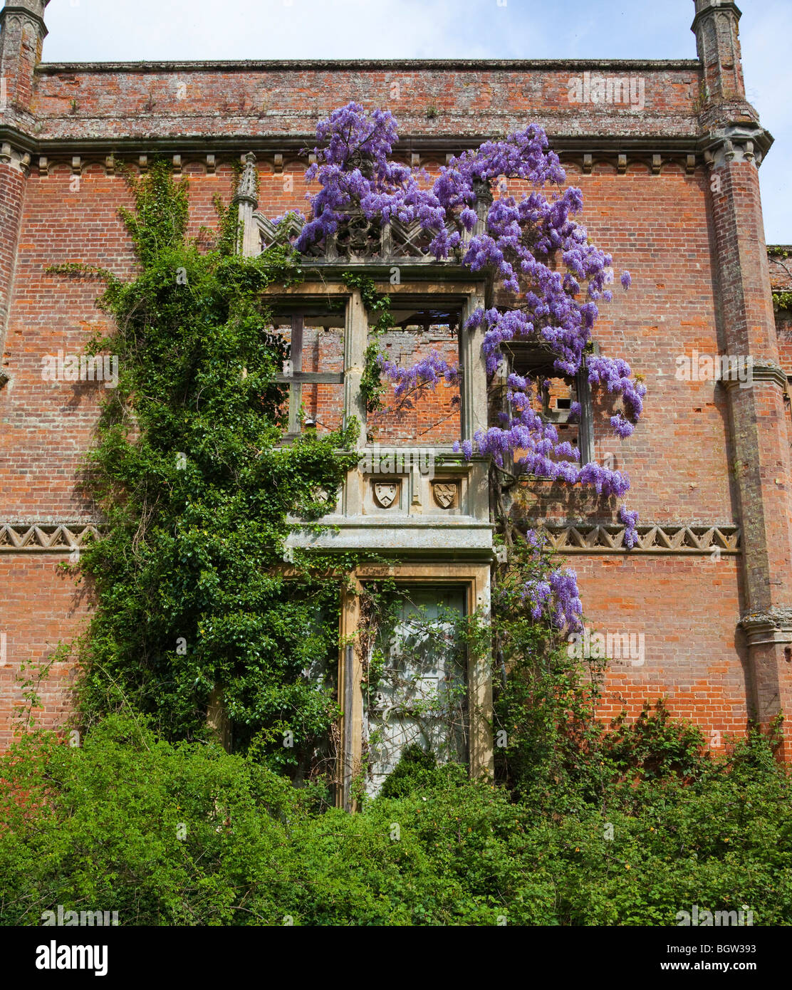 wisteria on old building Stock Photo - Alamy