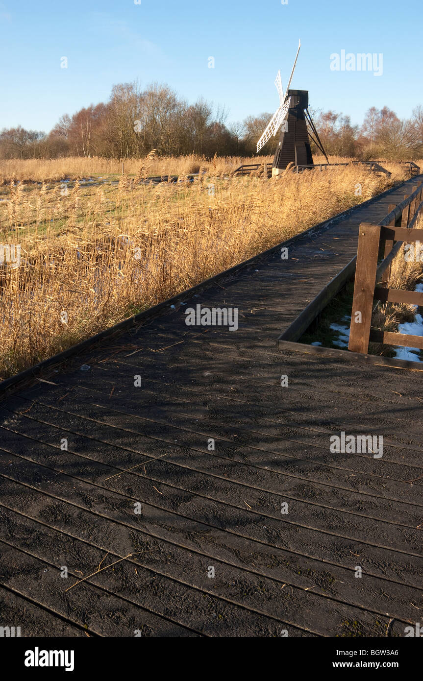 Wicken windmill, cambridgeshire hi-res stock photography and images - Alamy