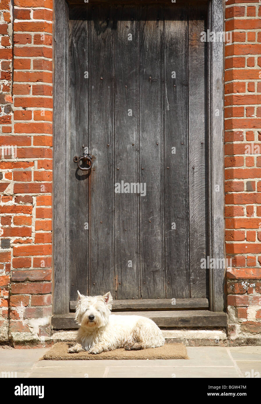 crow's hall, a 16th century moated manor house in suffolk Stock Photo ...
