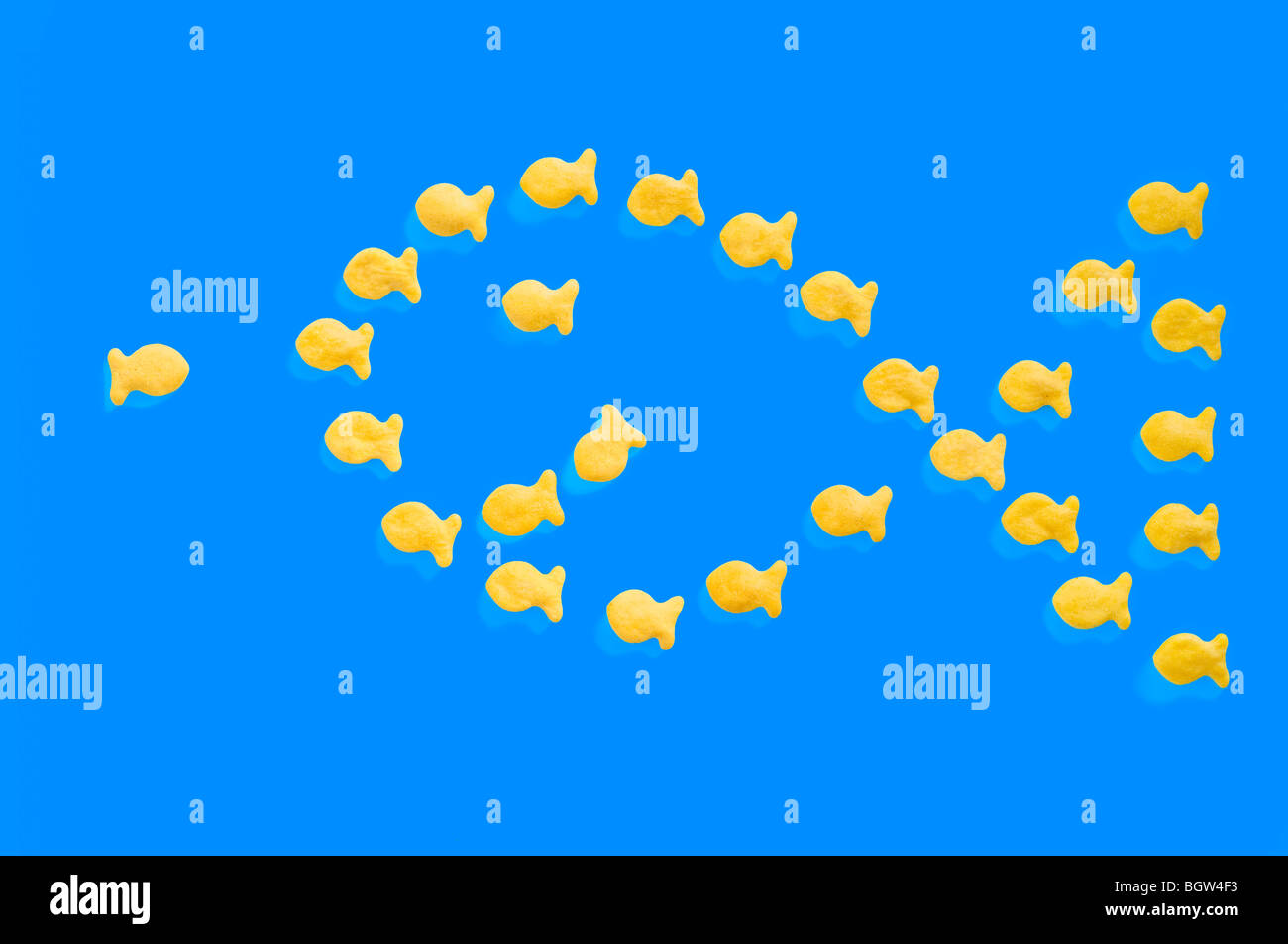 Big fish little fish hi-res stock photography and images - Alamy