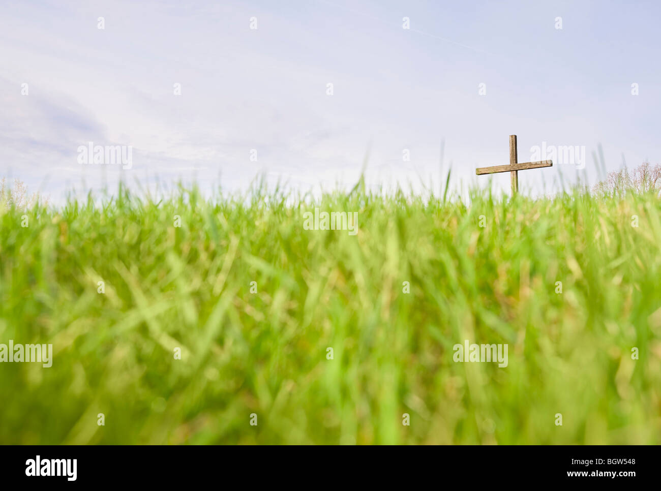 The cross in a field Stock Photo - Alamy