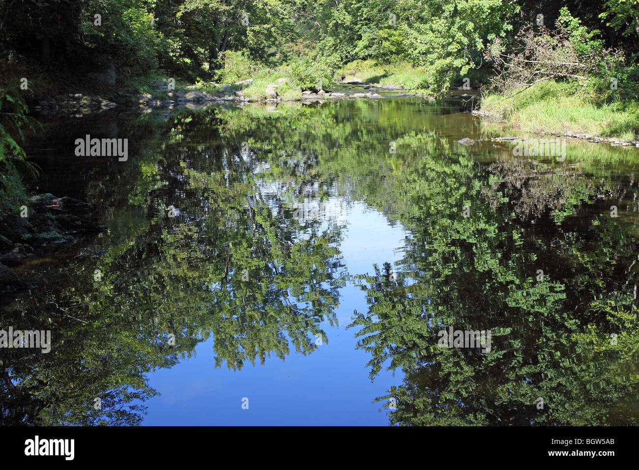 Secluded river with reflections Stock Photo - Alamy