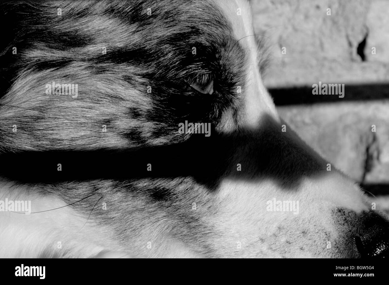 Shadow of head hi-res stock photography and images - Alamy