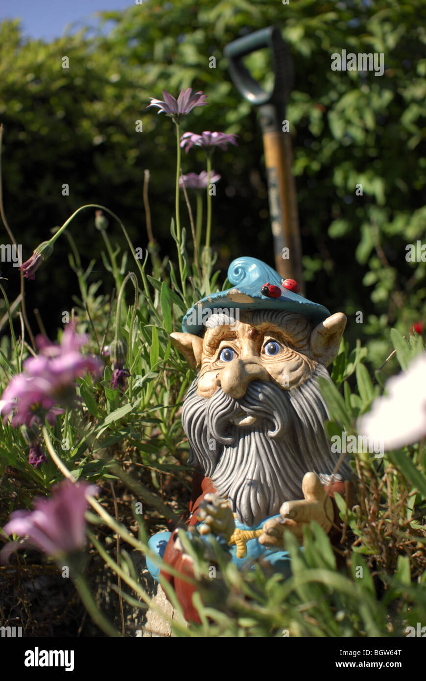 Summer gnome hi-res stock photography and images - Alamy