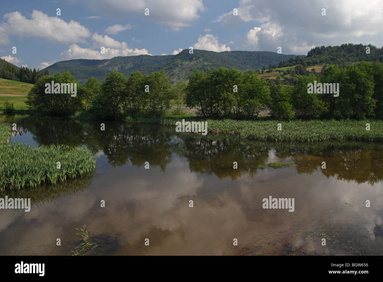 Landscape in early summer, Rodopi Mountains Stock Photo - Alamy
