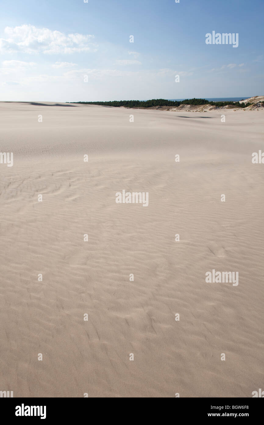Waves of sand - formed by wind and water Stock Photo - Alamy