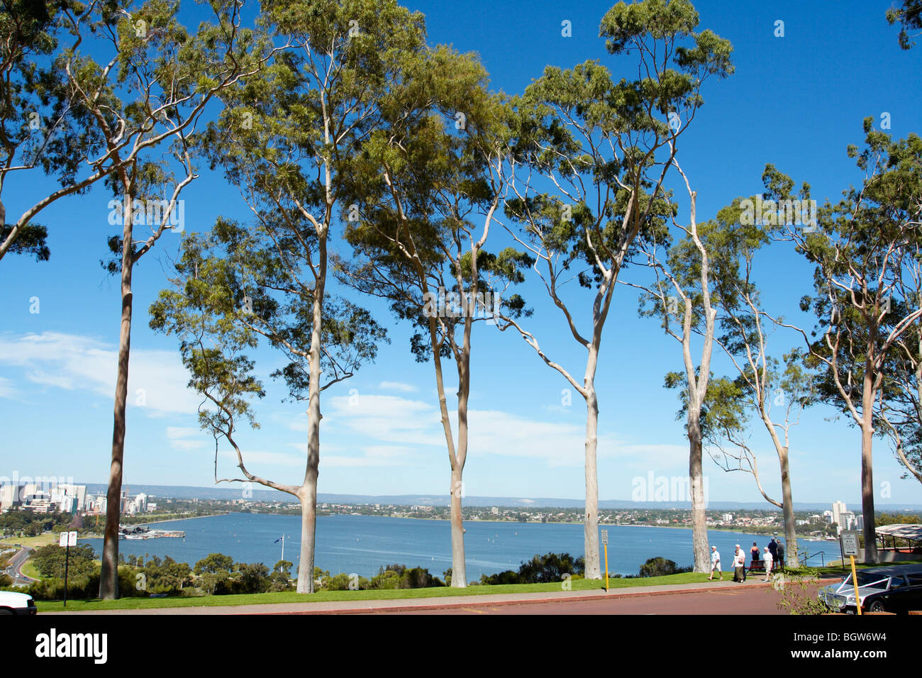 View of Perth city from Kings Park, Western Australia Stock Photo - Alamy