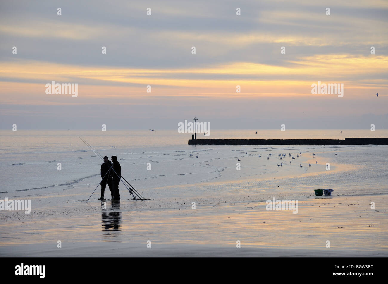 Angler fish sea beach hi-res stock photography and images - Alamy