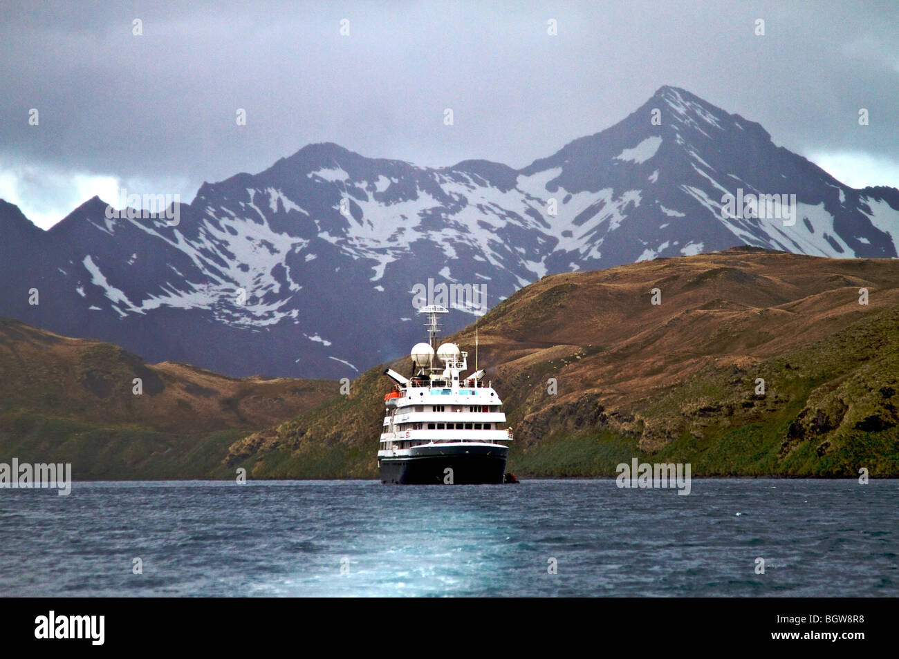 Clelia II in South Georgia Island Stock Photo - Alamy