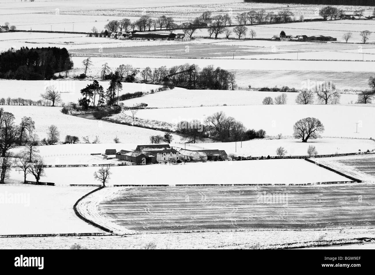 View of farms on the Carse of Stirling in the winter of 2010, Stirling ...