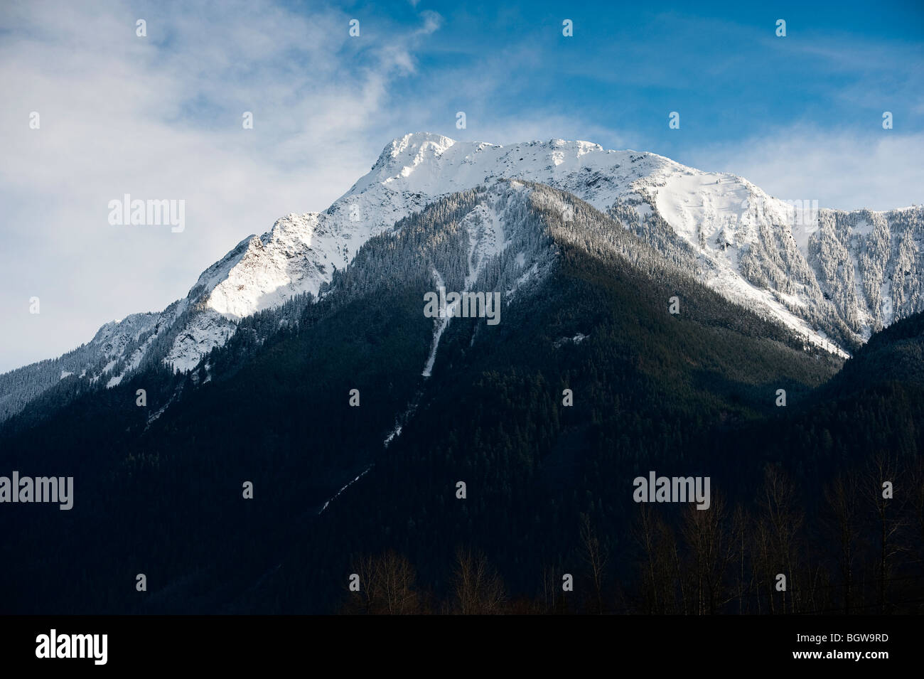 Cheam hi-res stock photography and images - Alamy