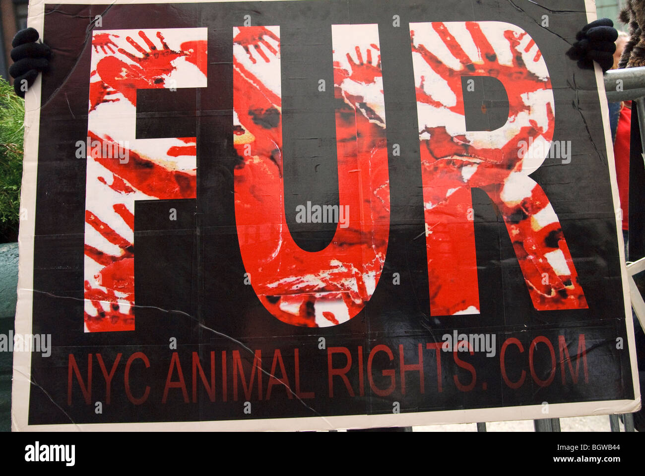 Peta animal rights banner hi-res stock photography and images - Alamy