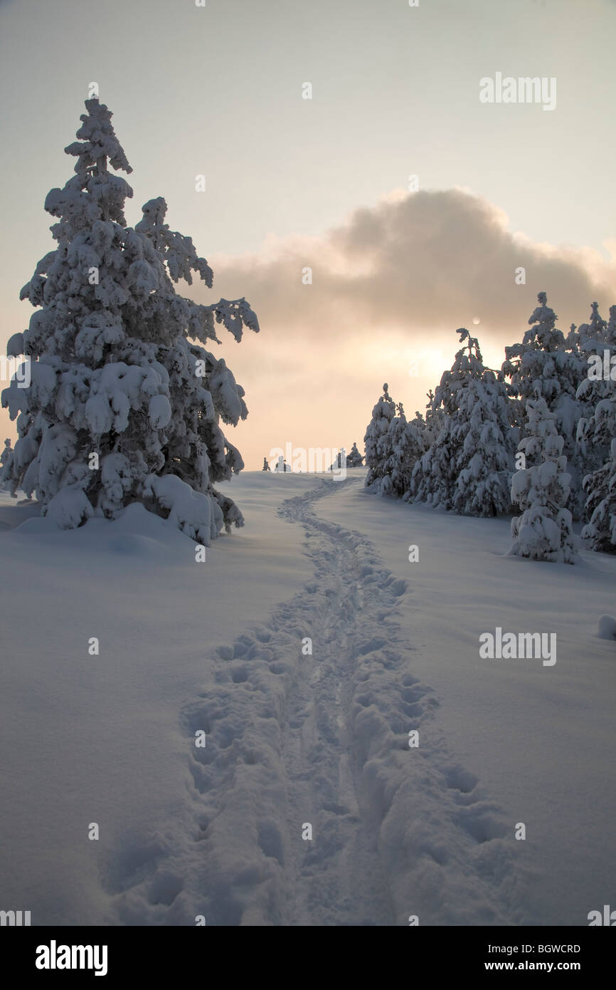Footstep path in snow Stock Photo - Alamy