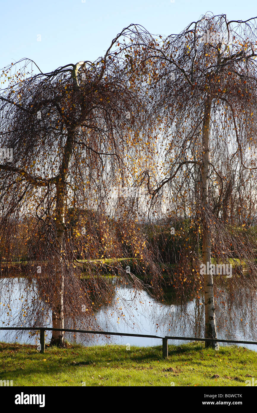 HADLEY HOUSE, LONDON, UNITED KINGDOM, THOMAS GLISZCZYNSKI ARCHITECTS ...
