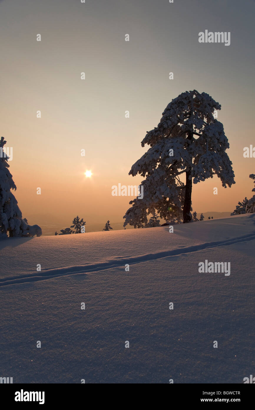 Serbia, Divcibare, mountain snow sunset Stock Photo - Alamy