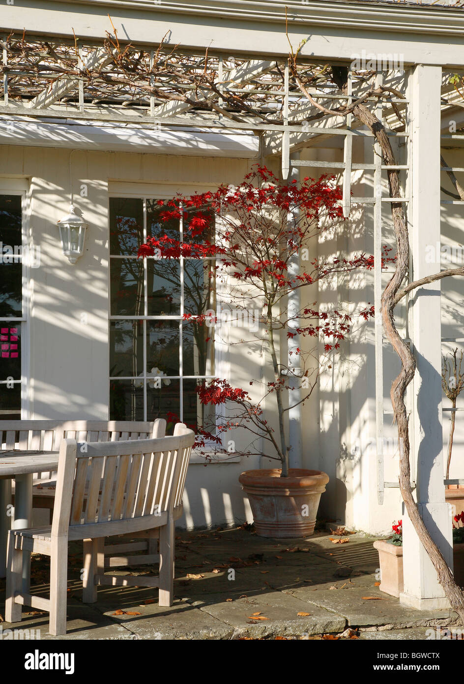 HADLEY HOUSE, LONDON, UNITED KINGDOM, THOMAS GLISZCZYNSKI ARCHITECTS ...