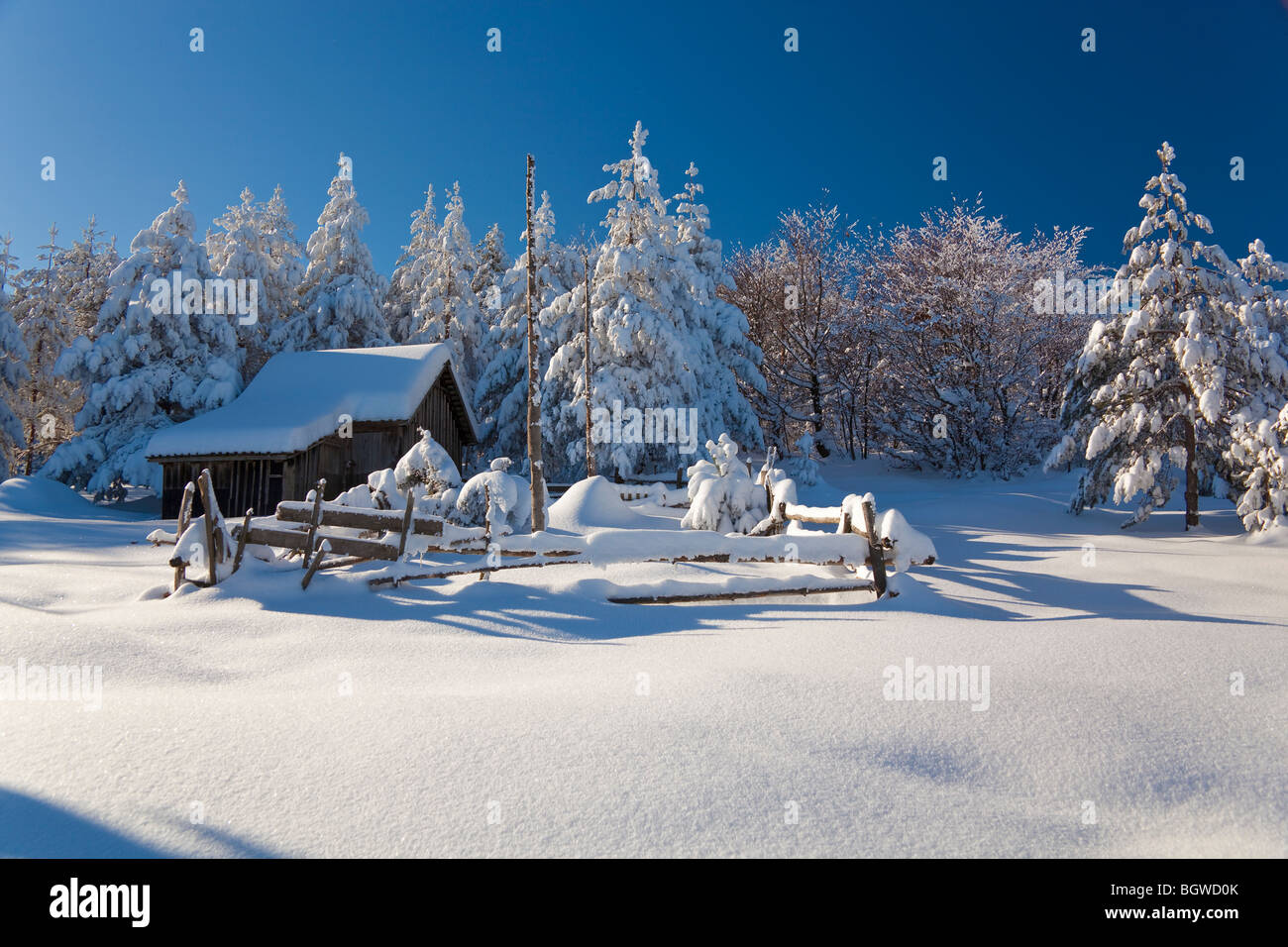 Serbia, Divcibare, mountain farm Stock Photo - Alamy