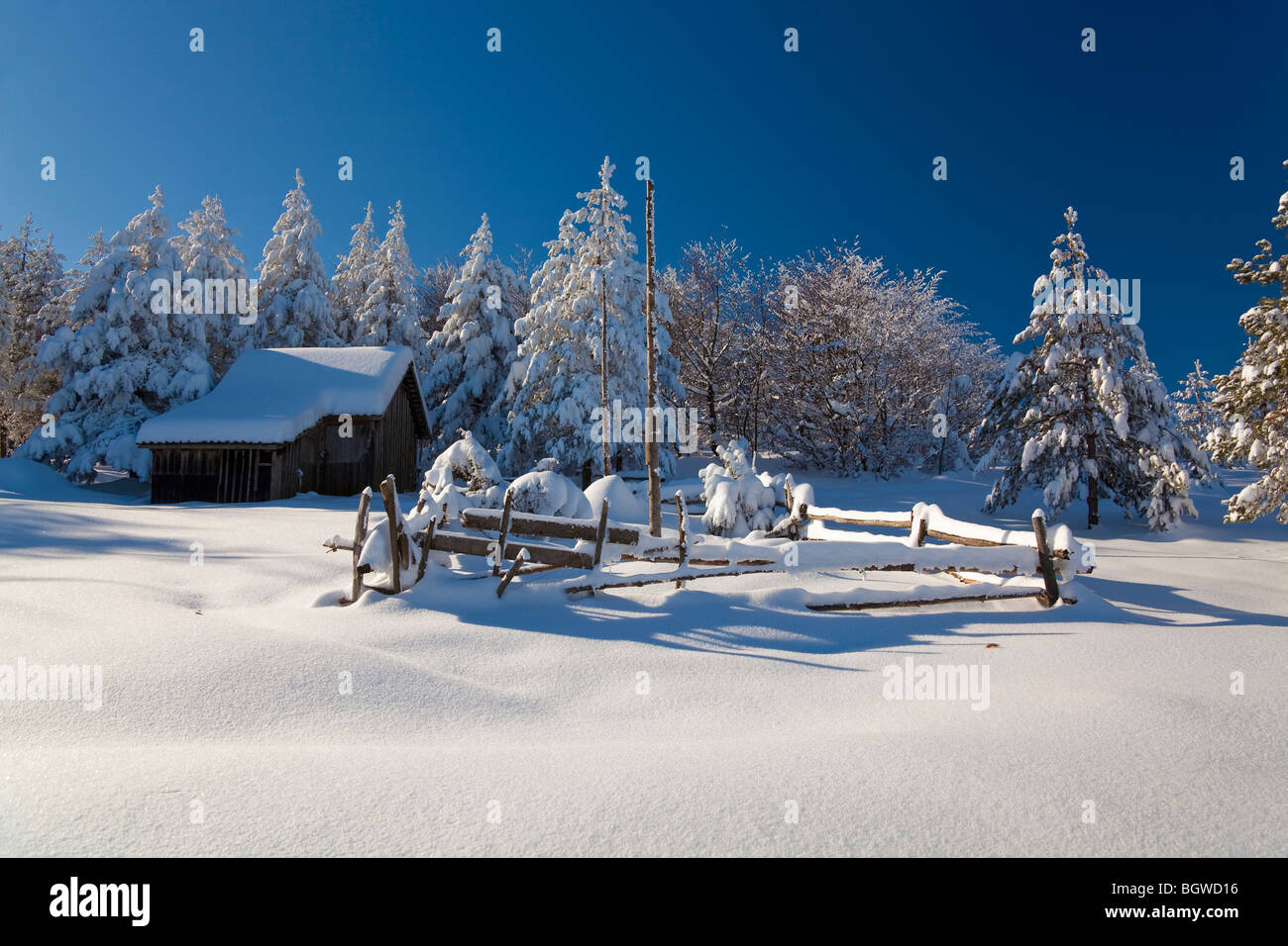 Serbia, Divcibare, mountain farm Stock Photo - Alamy