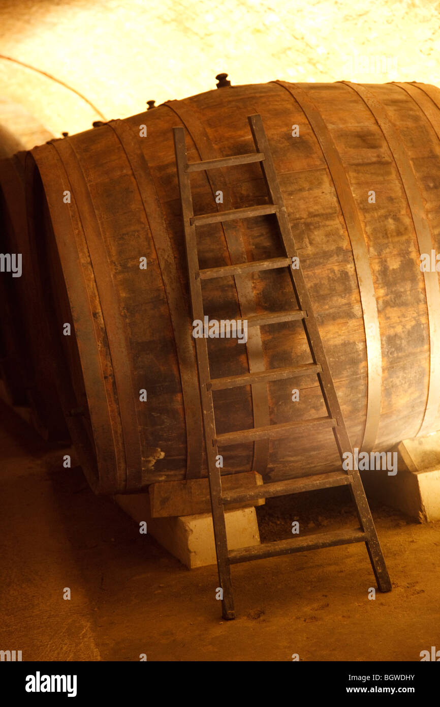 wine cask with ladder Stock Photo - Alamy