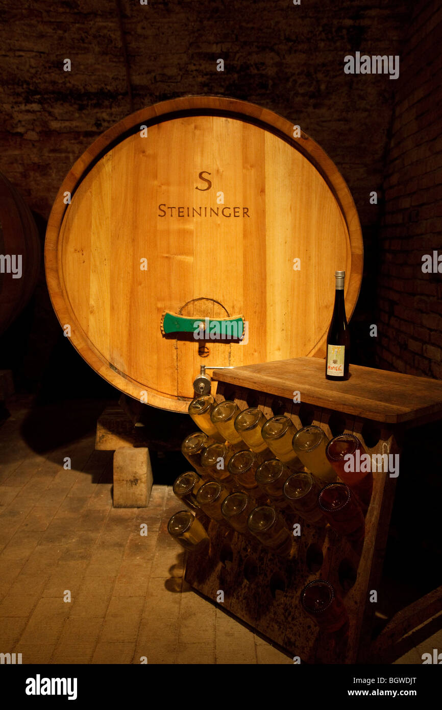 wine cask in wine cellar Stock Photo - Alamy