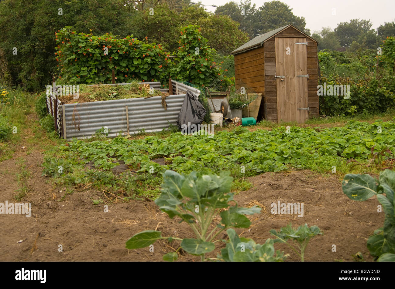 Shed compost hi-res stock photography and images - Alamy