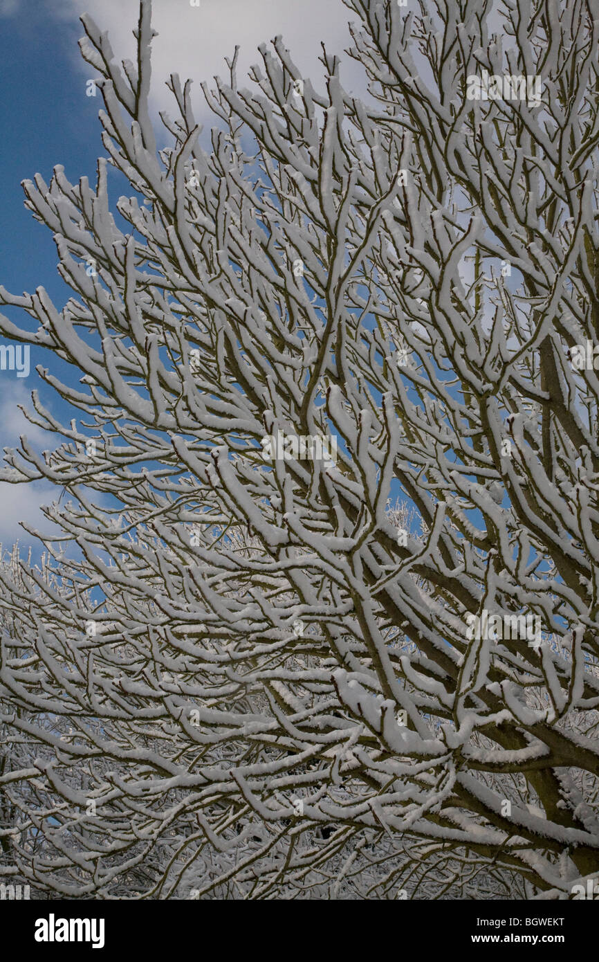 As heavy snow blanket the countryside hi-res stock photography and ...