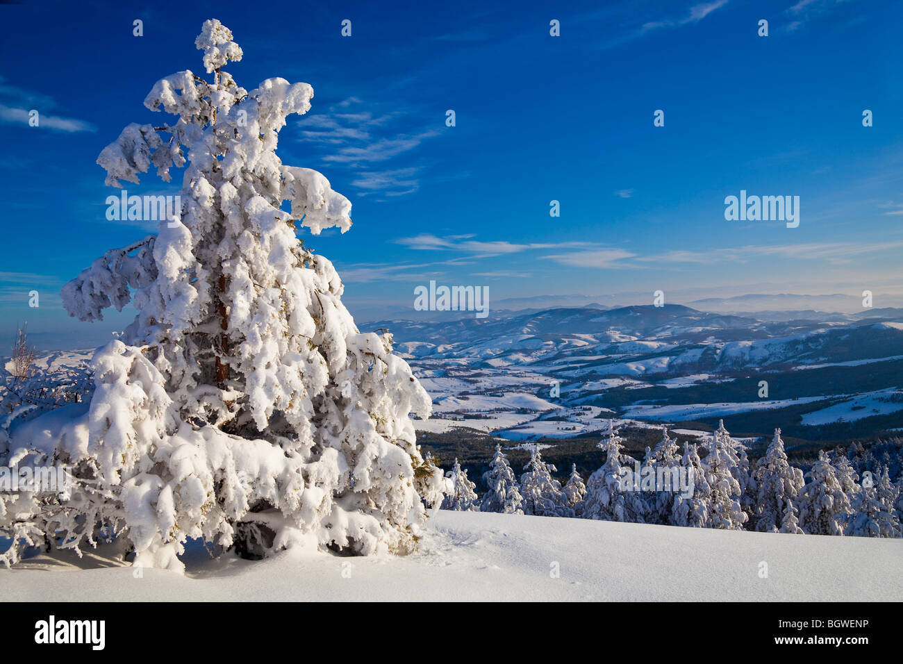 Winter in Serbia Stock Photo - Alamy