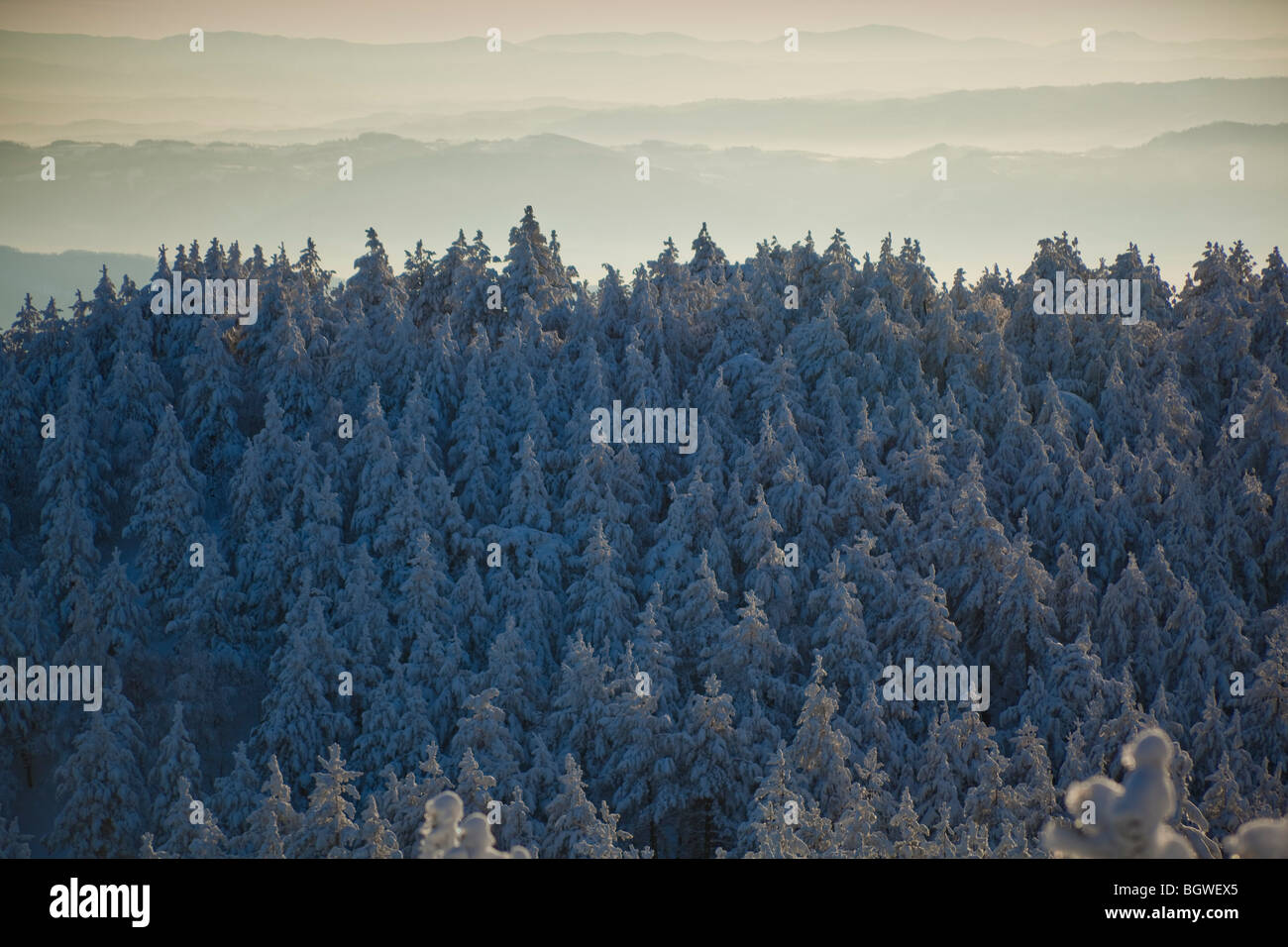 Serbia at winter Stock Photo - Alamy