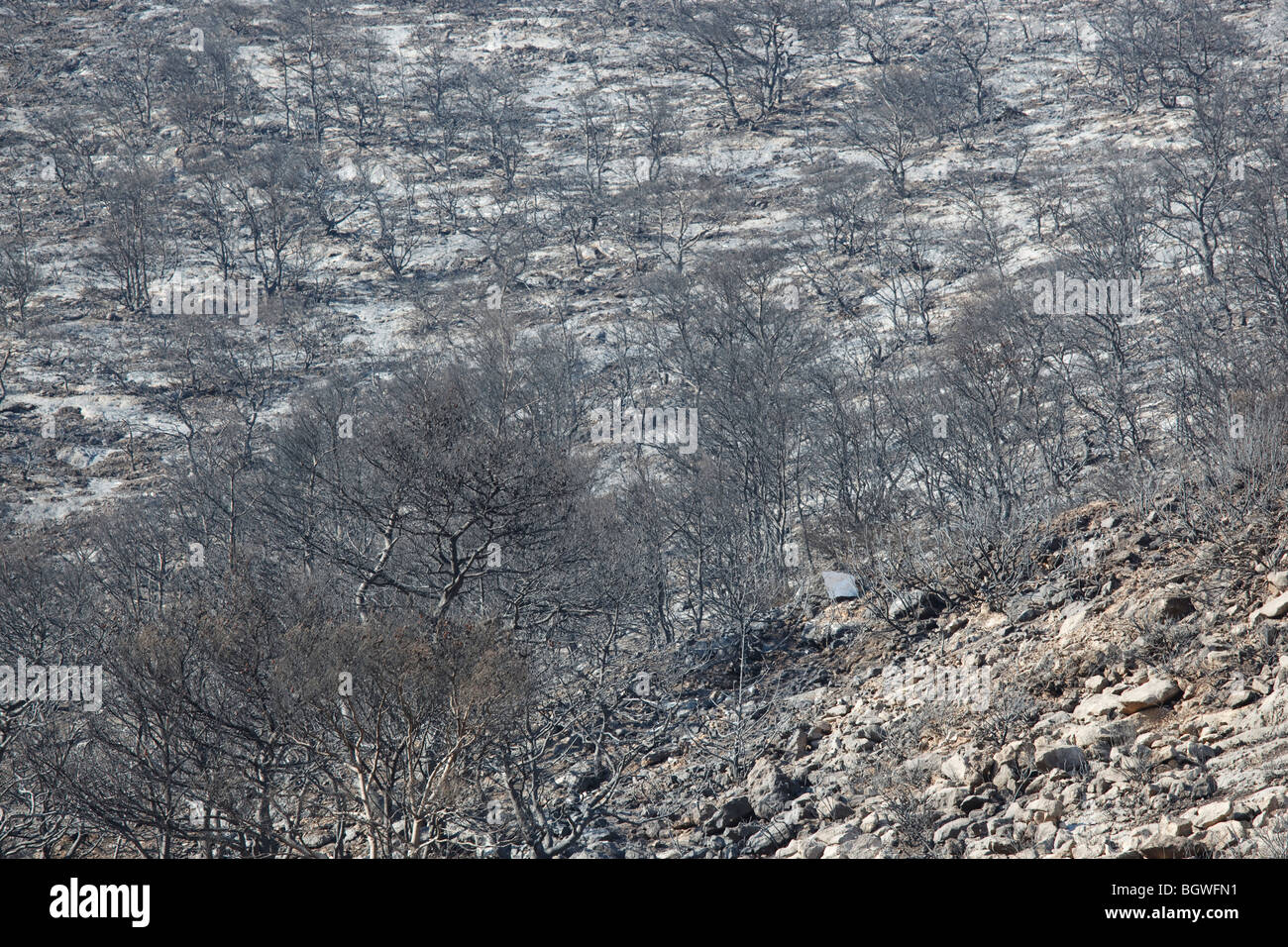 Burned landscapes hi-res stock photography and images - Alamy