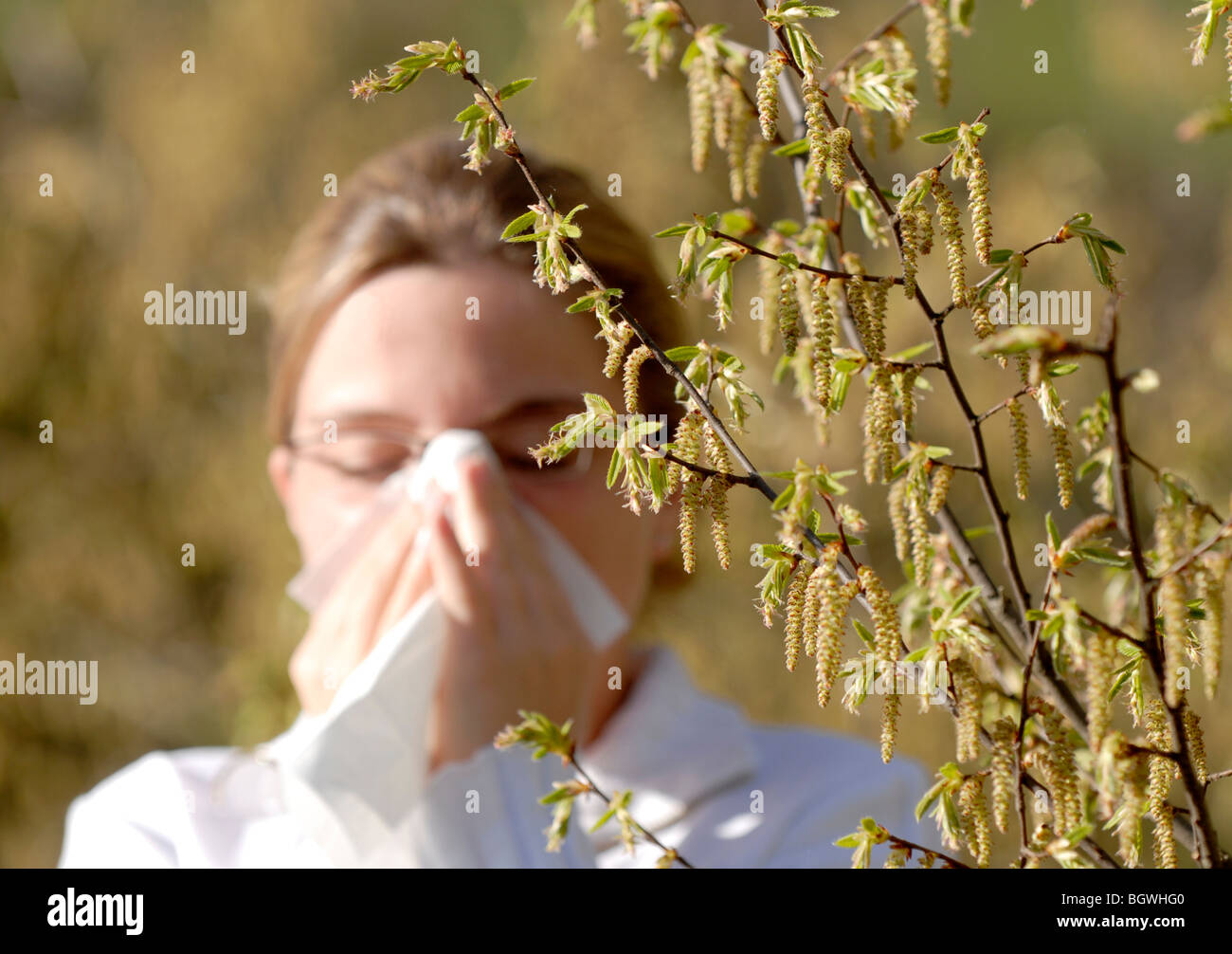 Fever nut hi-res stock photography and images - Alamy