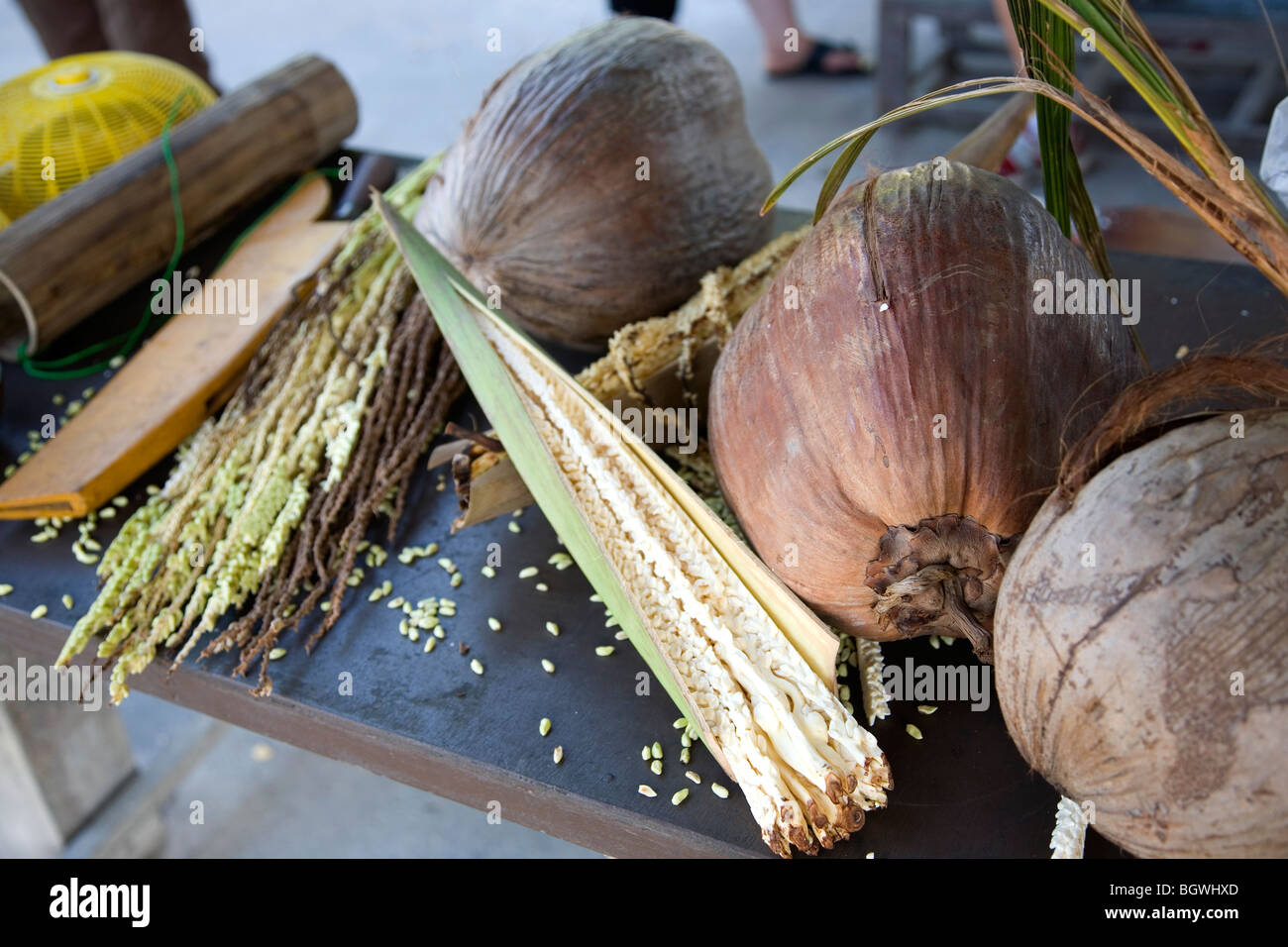Coconut fruit and flower displayed on table Stock Photo - Alamy
