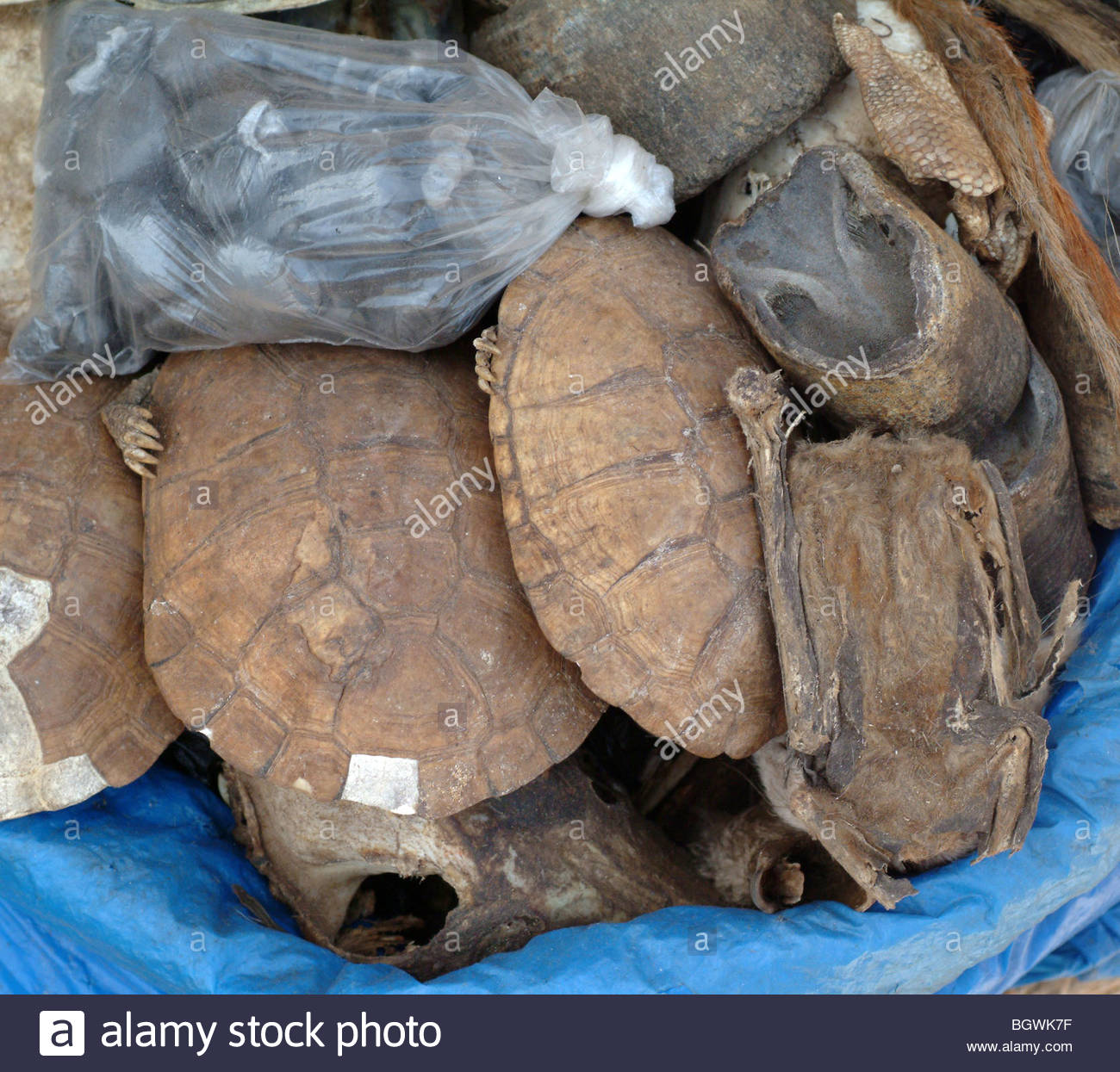 Voodoo Spiritual Temple High Resolution Stock Photography and Images ...