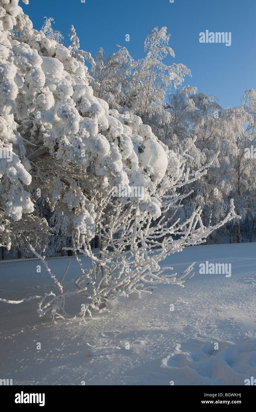 New square under snow hi-res stock photography and images - Alamy