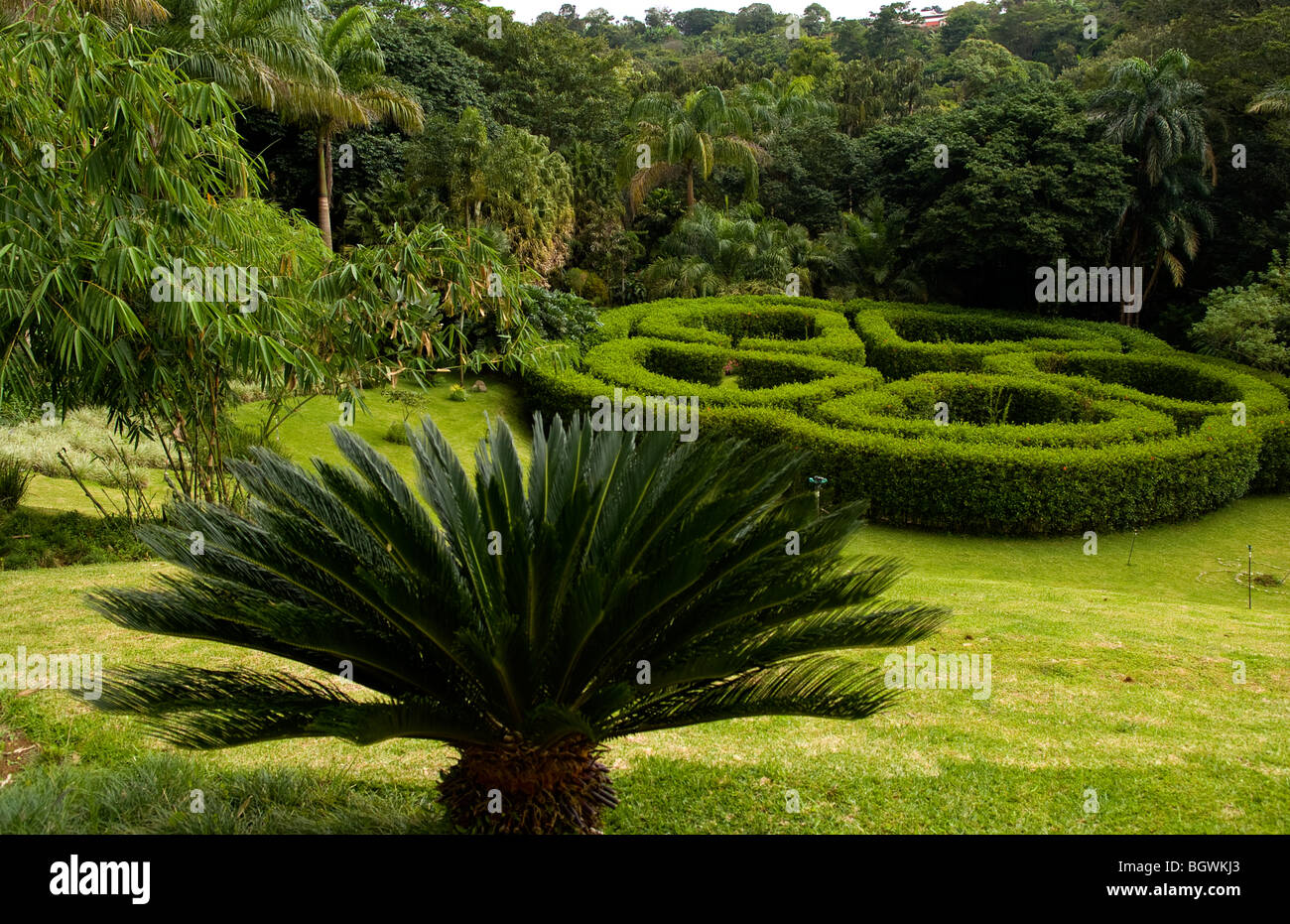 Beautiful gardens in the famous Jardin Botanico in Sarchi Norte Costa ...
