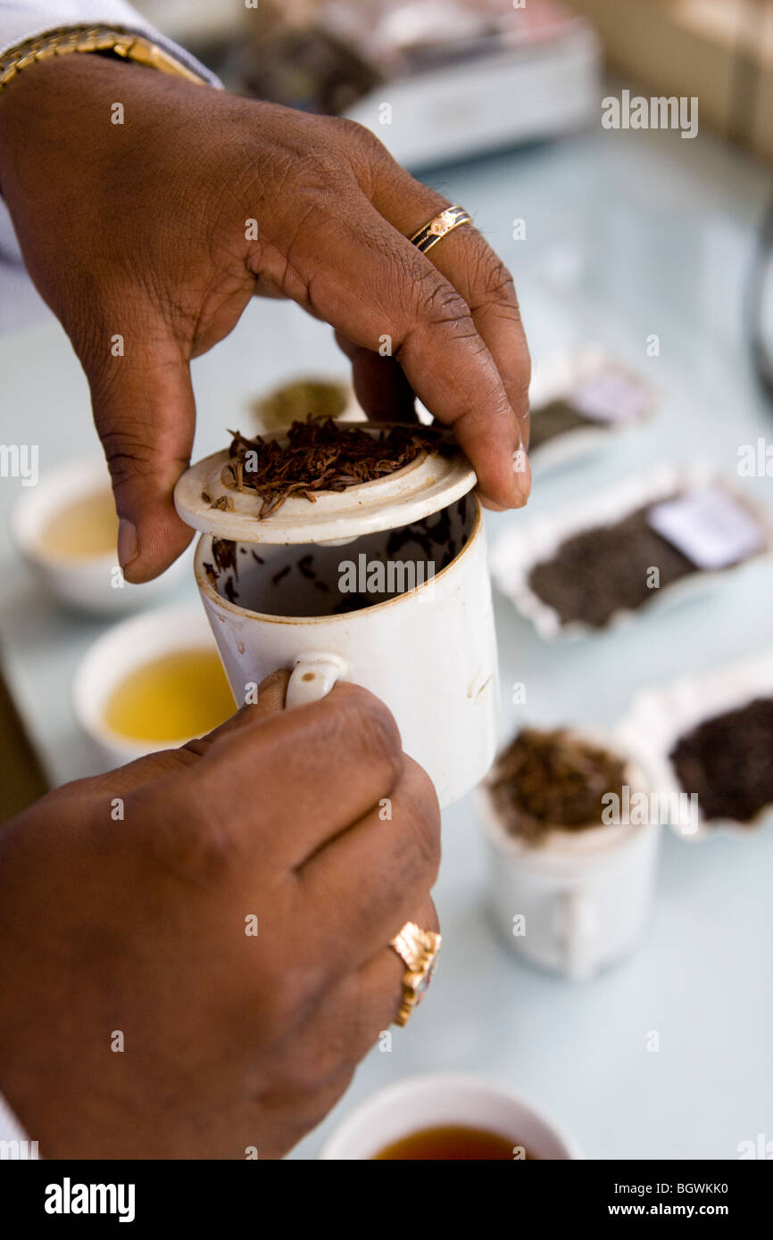 Tea laboratory hi-res stock photography and images - Alamy