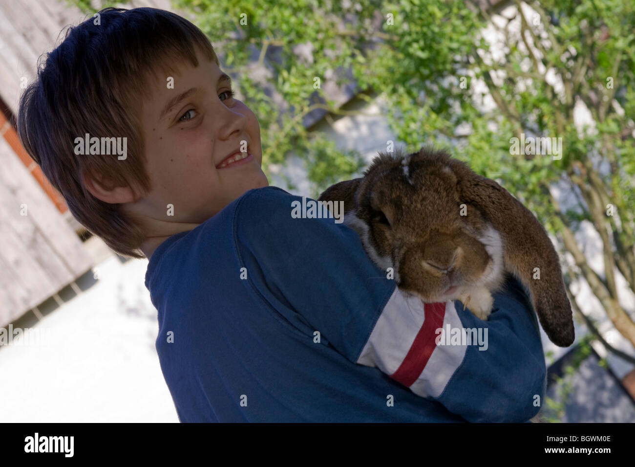 Happy young boy holding a rabbit Stock Photo - Alamy