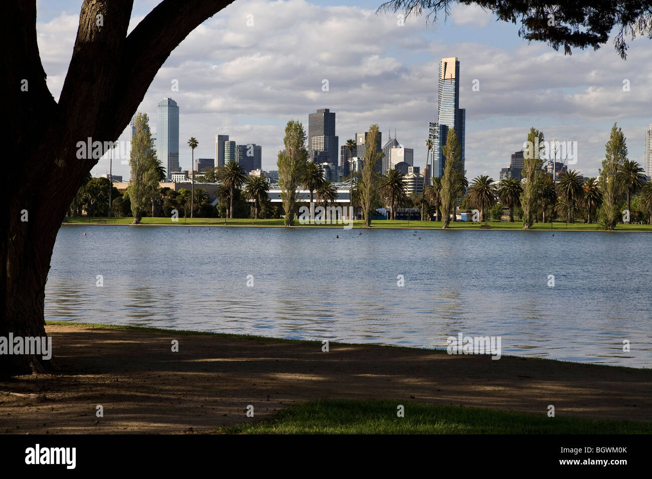 Melbourne skyline, photographed from Albert Park Lake showing the ...