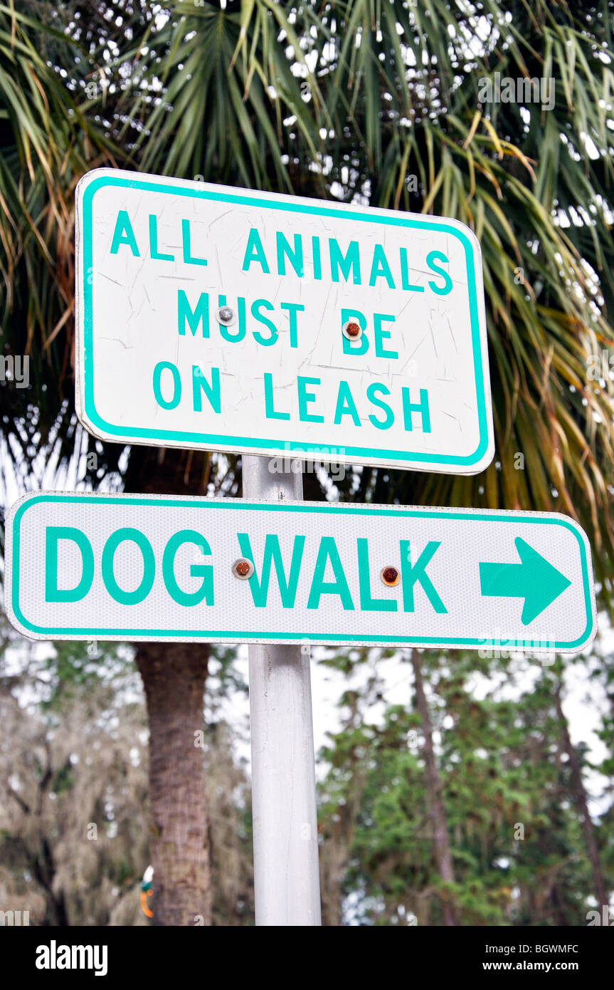 Dog walk sign Stock Photo - Alamy