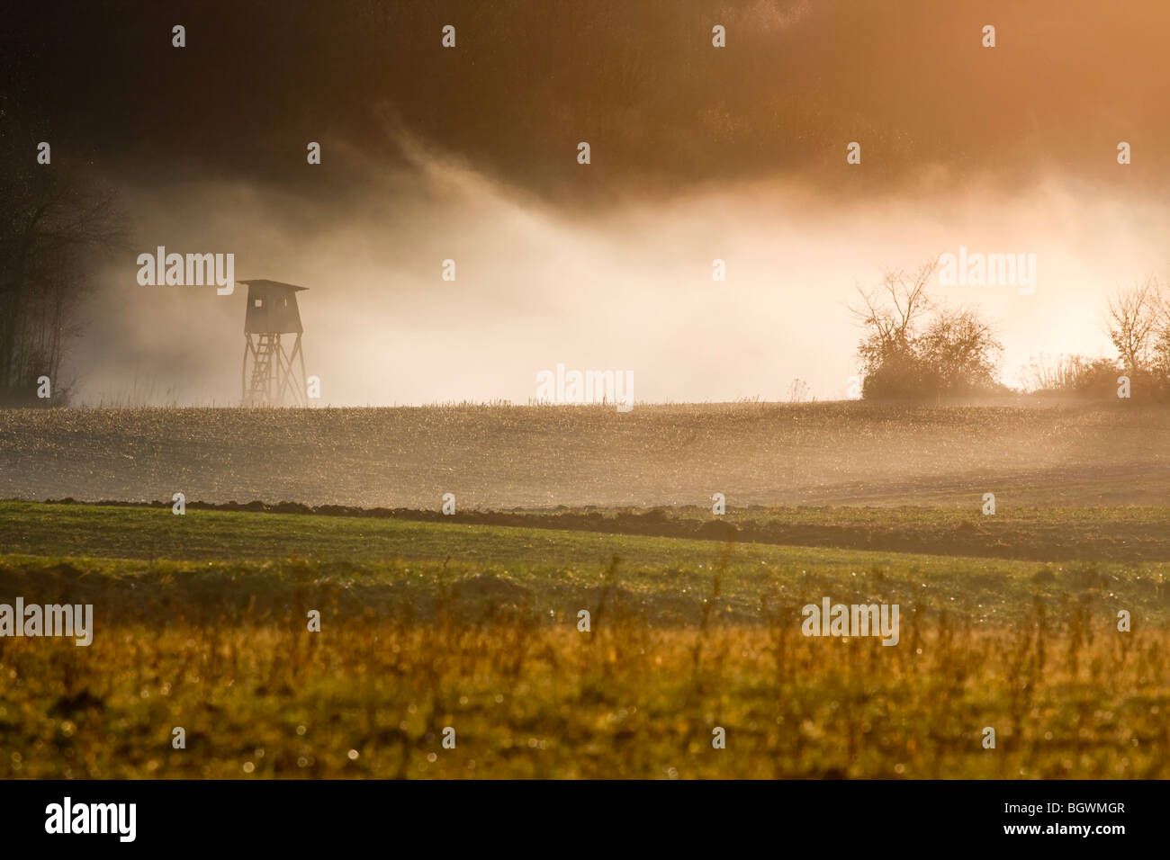 Fog rising over the autumn evening landscape Stock Photo - Alamy