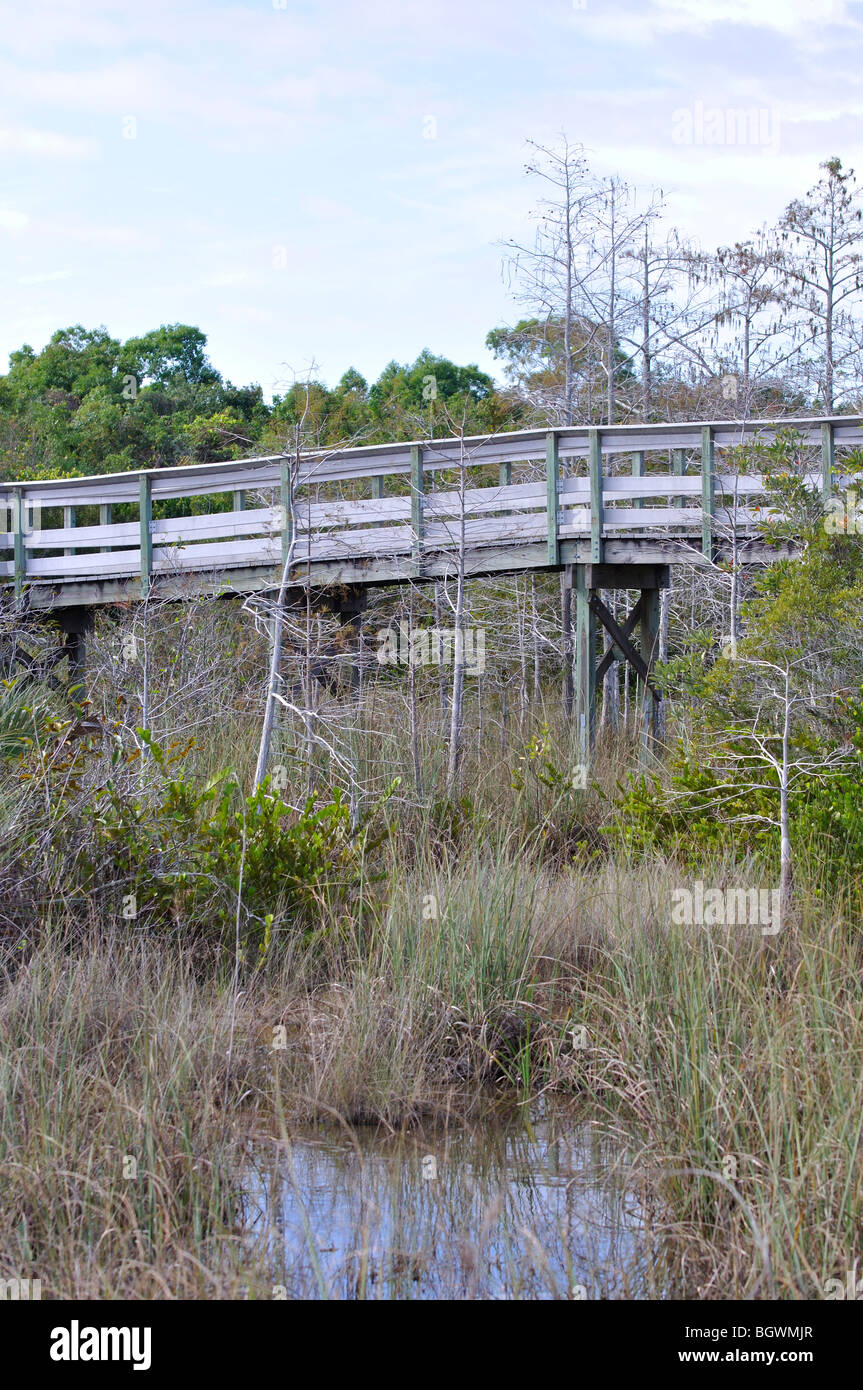 Everglades National Park, Florida, USA Stock Photo - Alamy