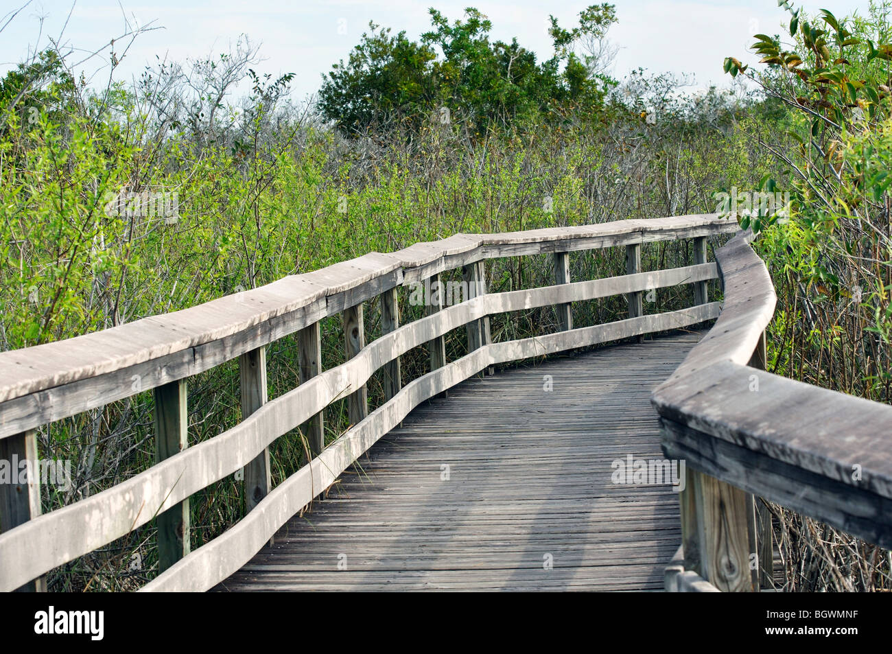 Everglades National Park, Florida, USA Stock Photo - Alamy